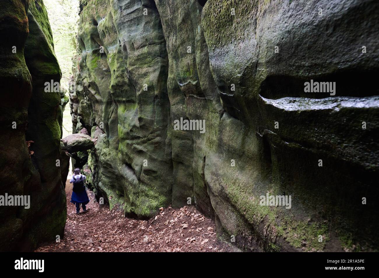 The Mullerthal region in Luxembourg is also known as little Switzerland ...