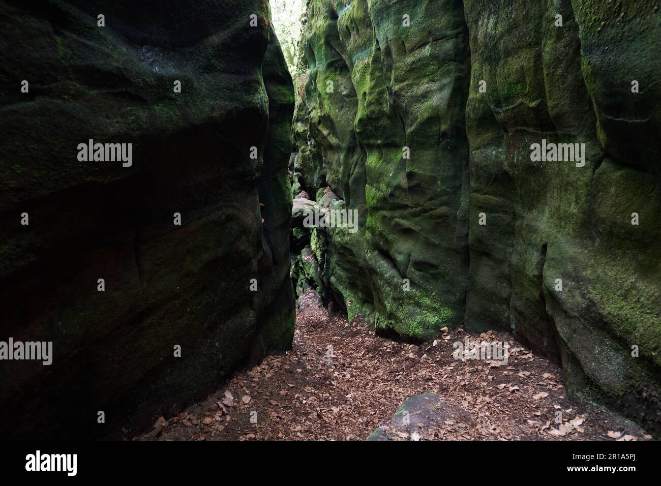 The Mullerthal region in Luxembourg is also known as little Switzerland ...