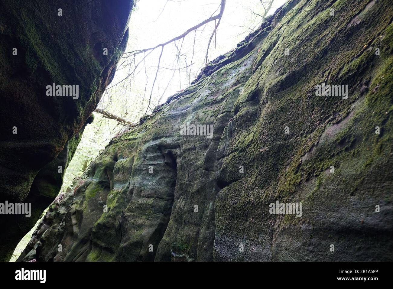 The Mullerthal region in Luxembourg is also known as little Switzerland ...