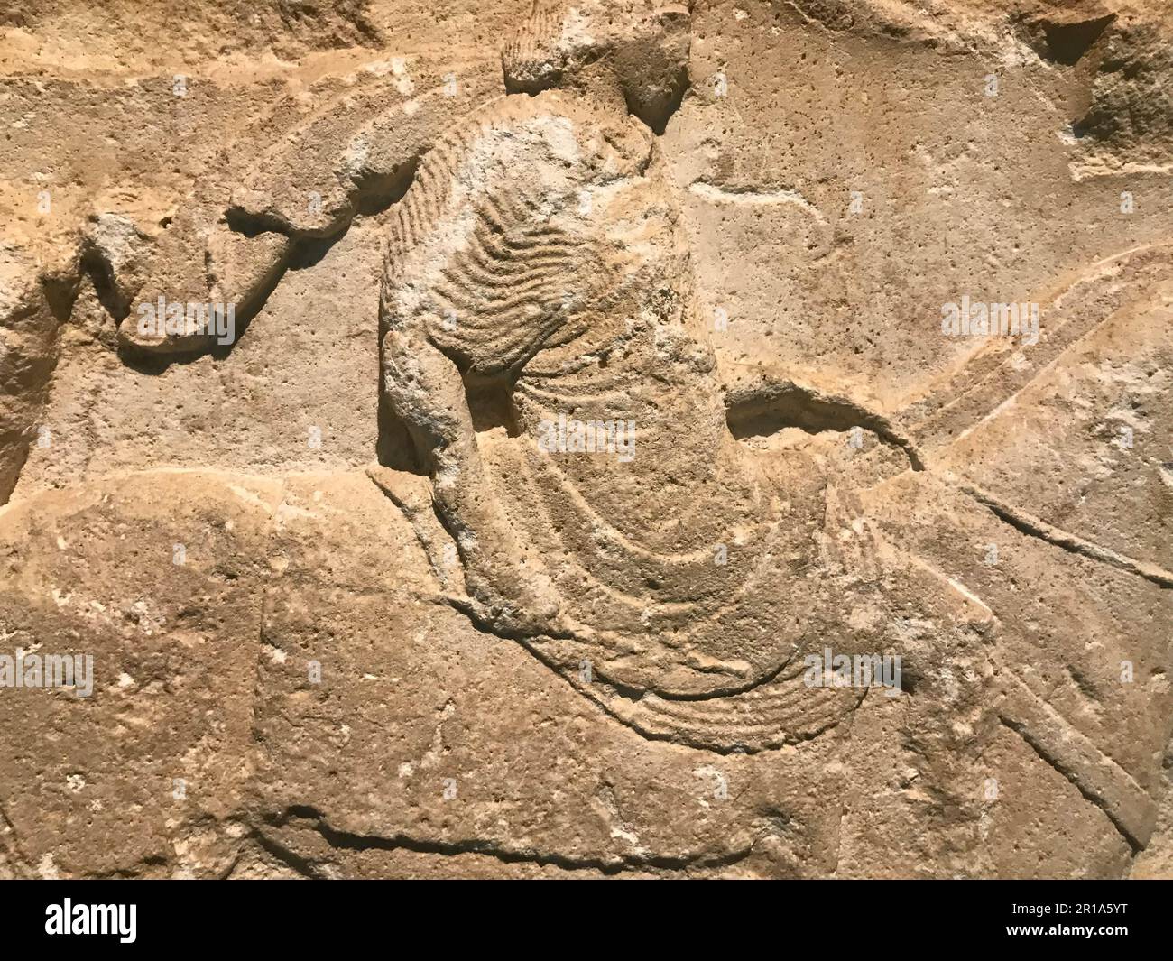 Sydney sandstone rock erosion hi-res stock photography and images - Alamy