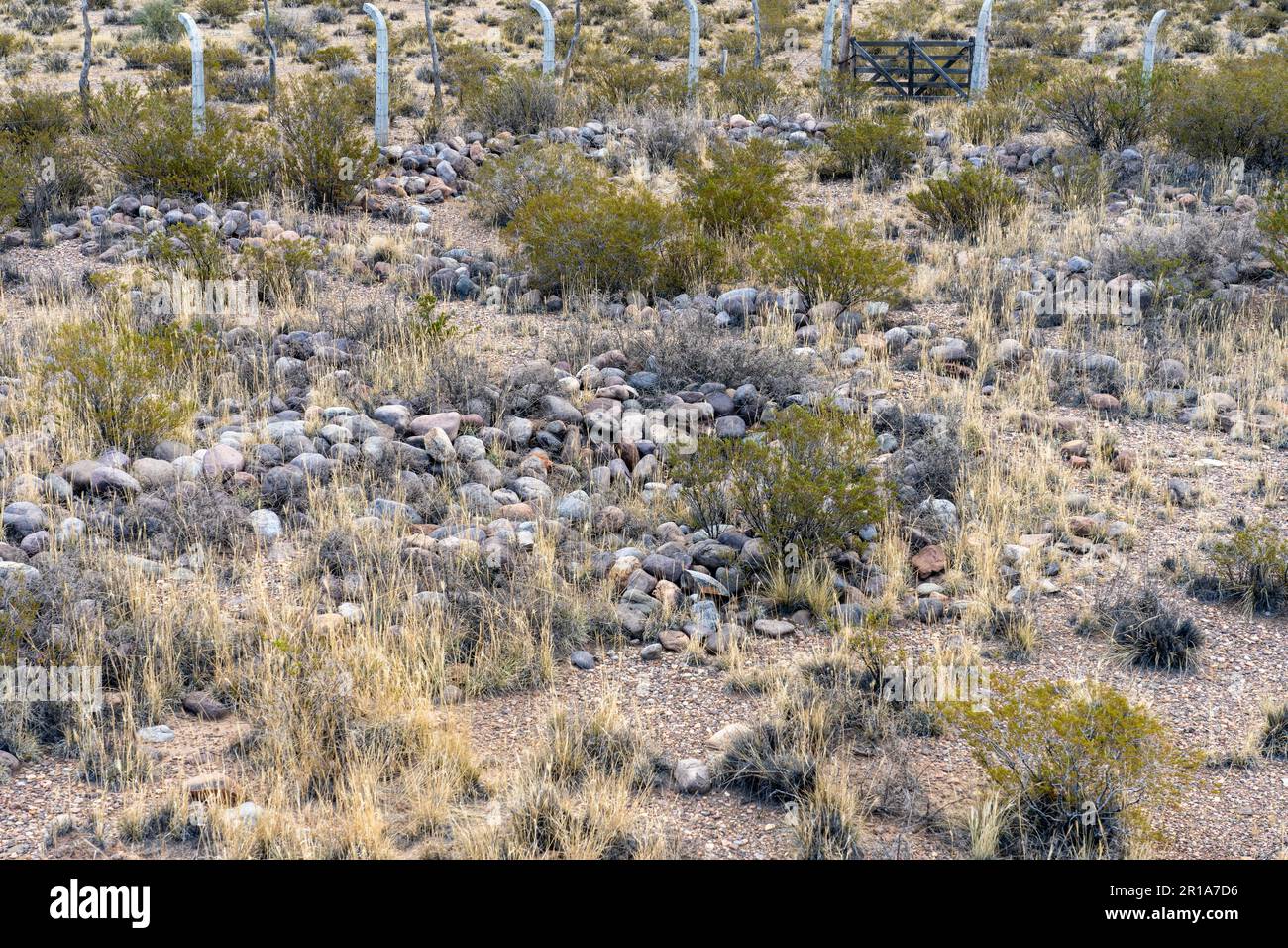 The stone ruins of an Inca tambo at Tambillos in the Calingasta Valley ...