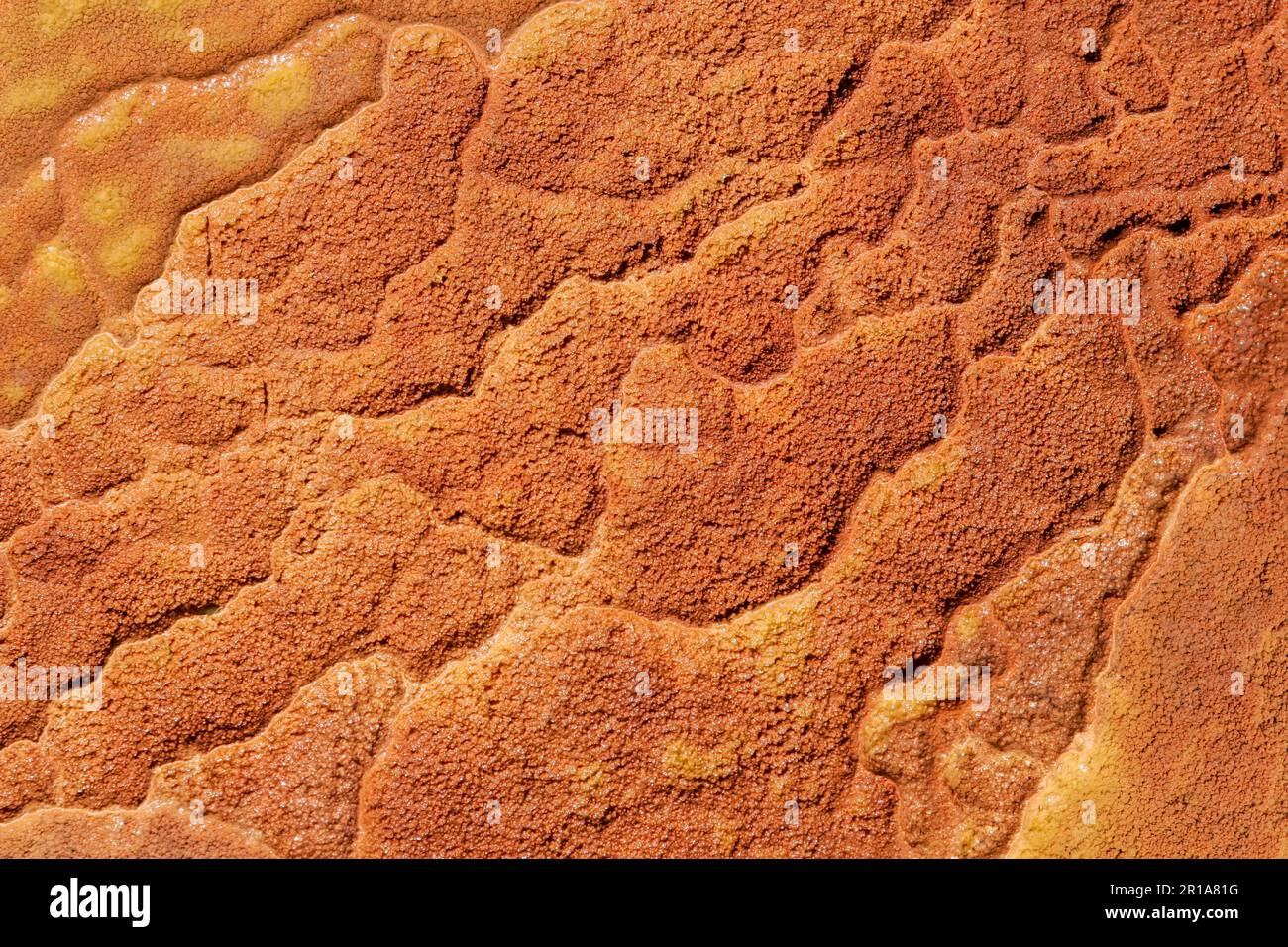 Colorful travertine deposits around the Crystal Geyser, a cold-water ...