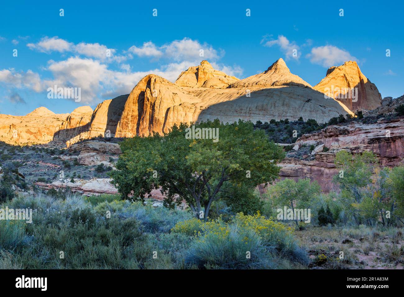 The pointed Navajo sandstone pyramid known as the Navajo Dome, at ...