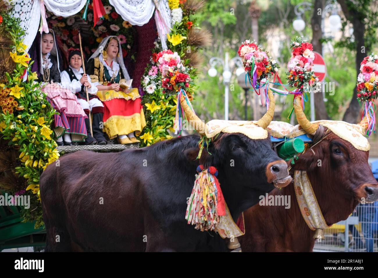 A traditional flower-covered, oxen-pulled chariot chart known as a ...