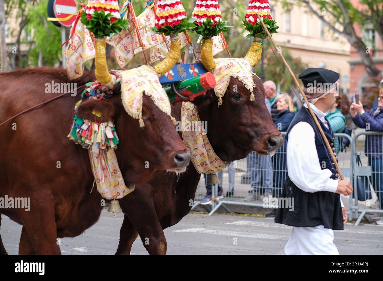 A traditional flower-covered, oxen-pulled chariot chart known as a ...