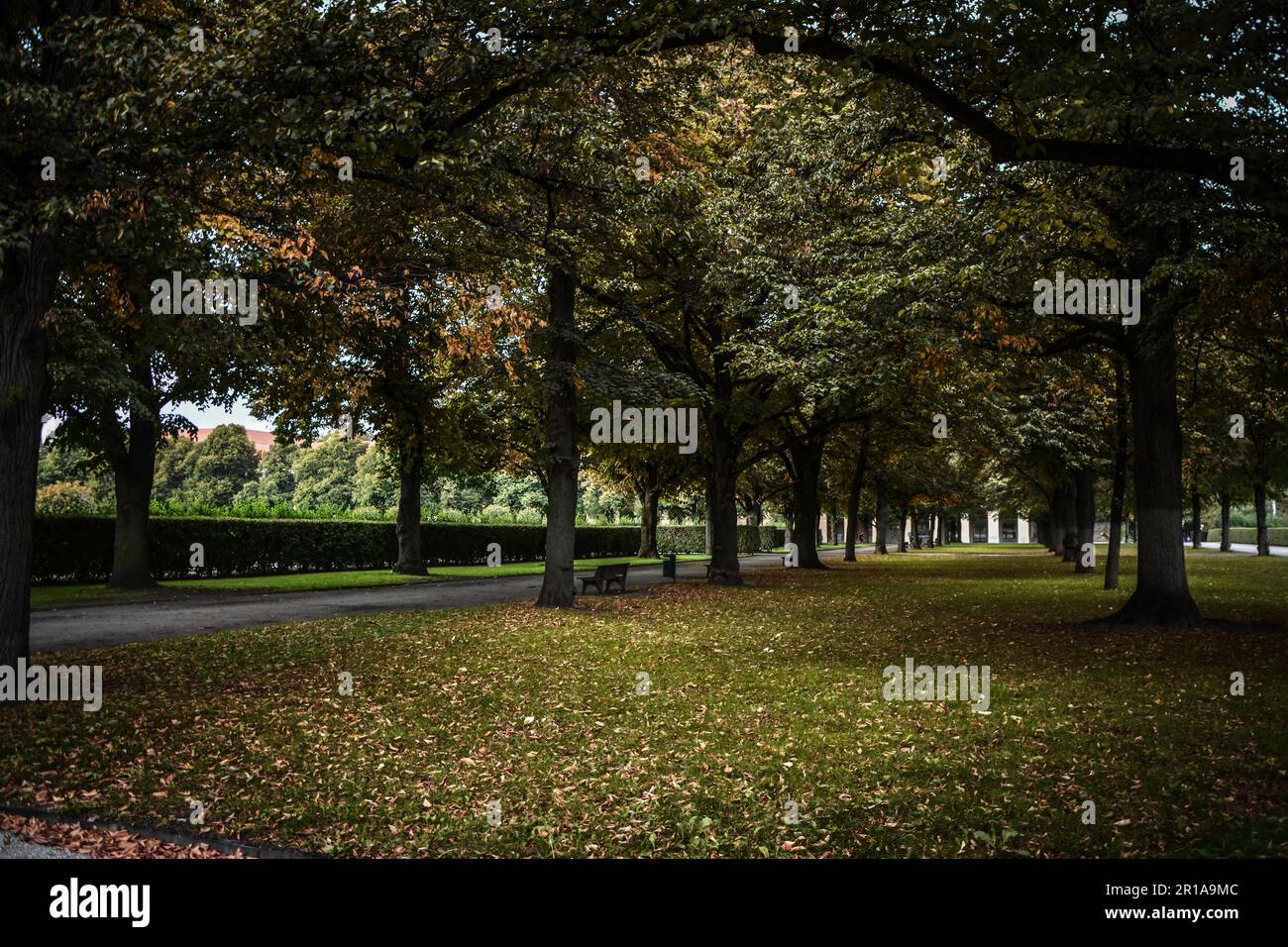 Hofgarten munich germany hi-res stock photography and images - Alamy