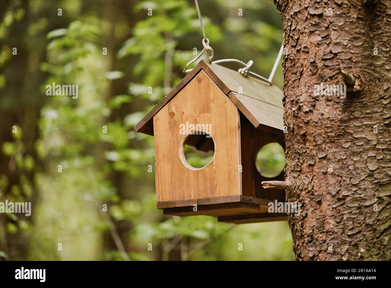 Wooden bird feeder hanging on a tree branch in the forest. Handmade ...