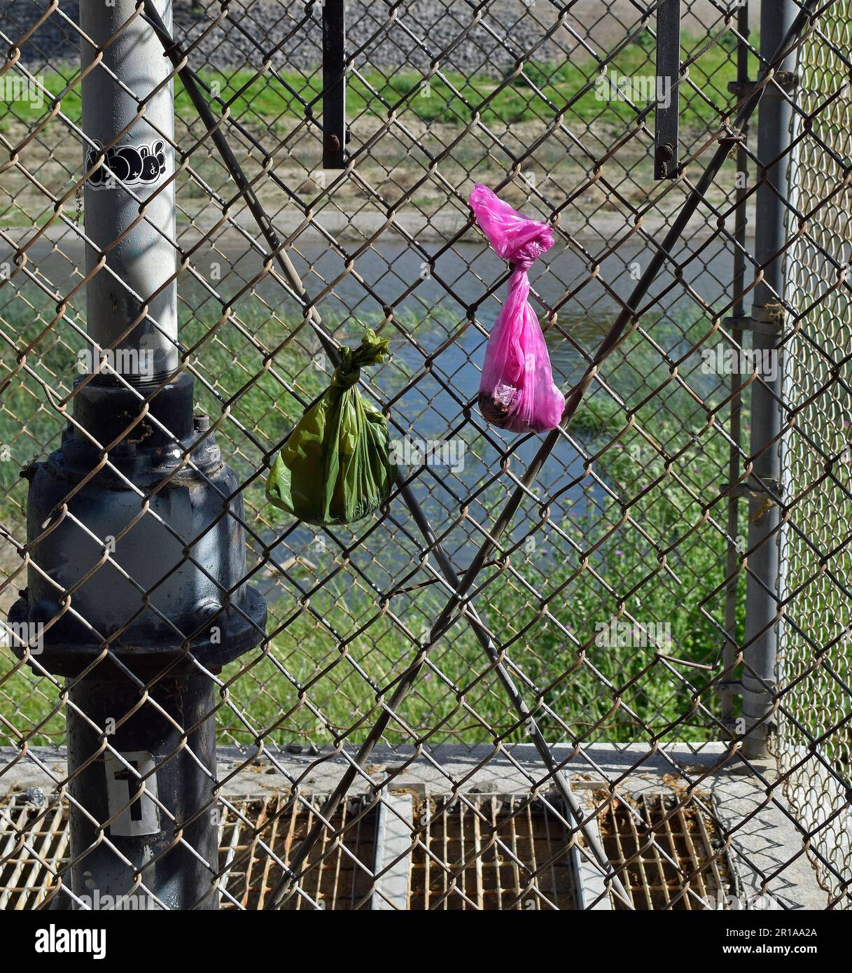 plastic bags containing dog poop hung on cyclone fence along the ...