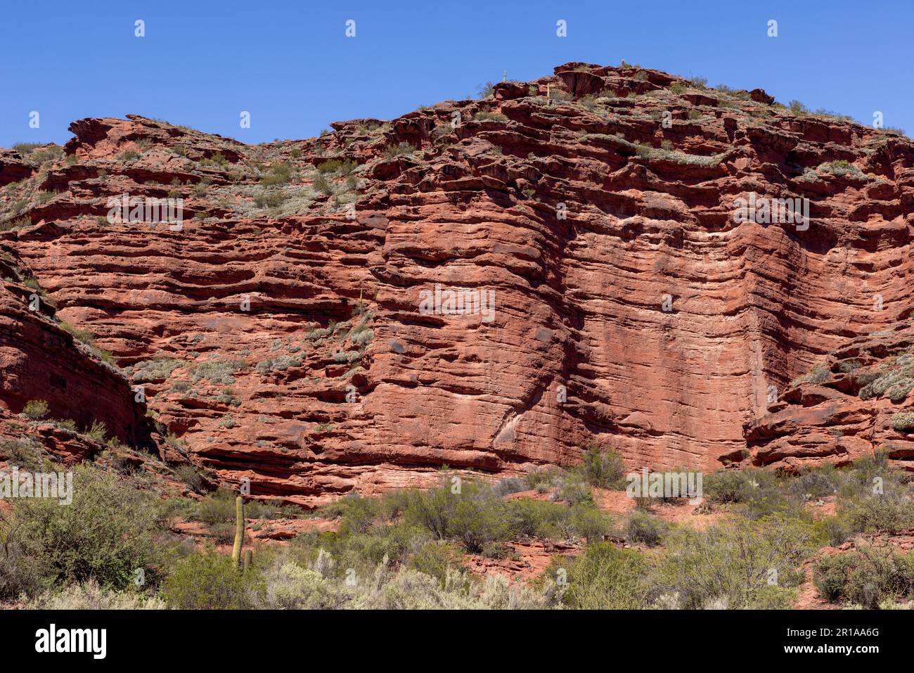 Stunning, reddish landscape of Ischigualasto Provincial Park in San ...
