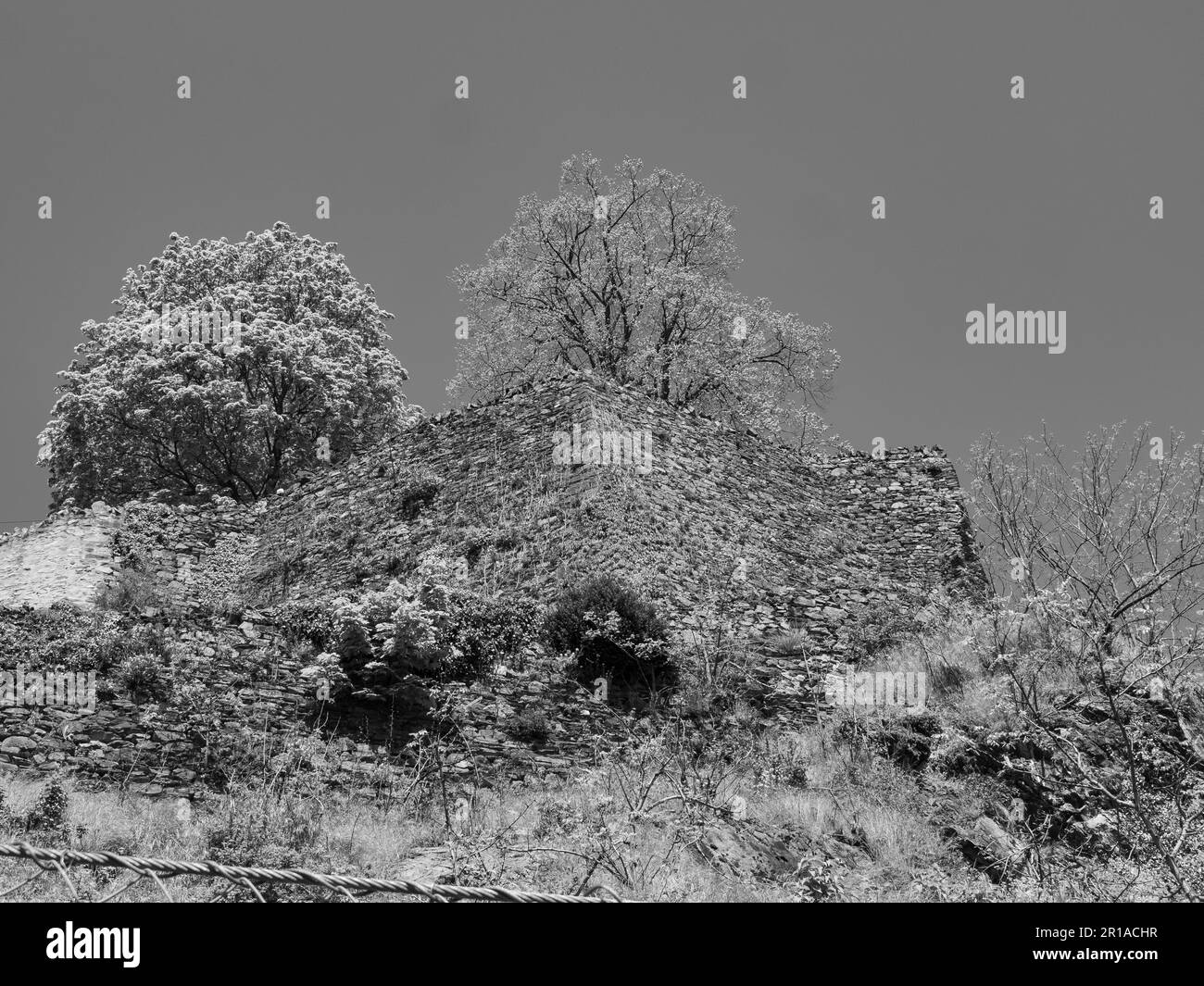 Saar river Black and White Stock Photos & Images - Alamy