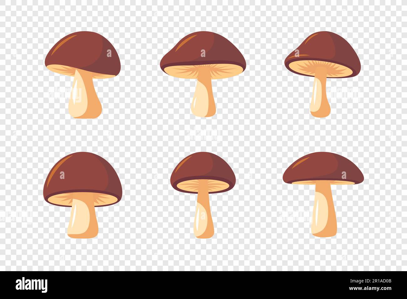 Vector Hand Drawn Cartoon Flat Mushroom Icon Set Isolated. Brown Edible ...