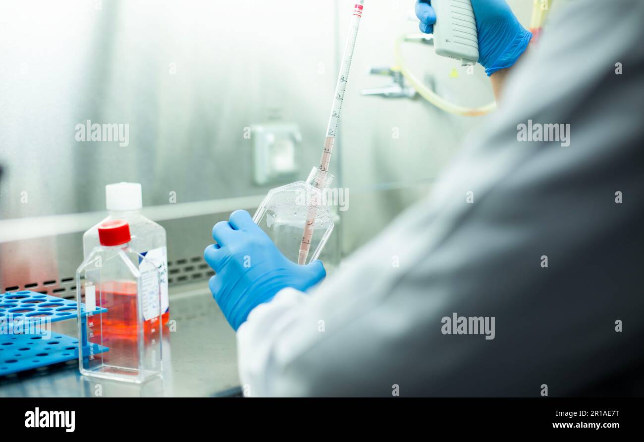 A chemist wearing protective gloves conducting a scientific experiment ...