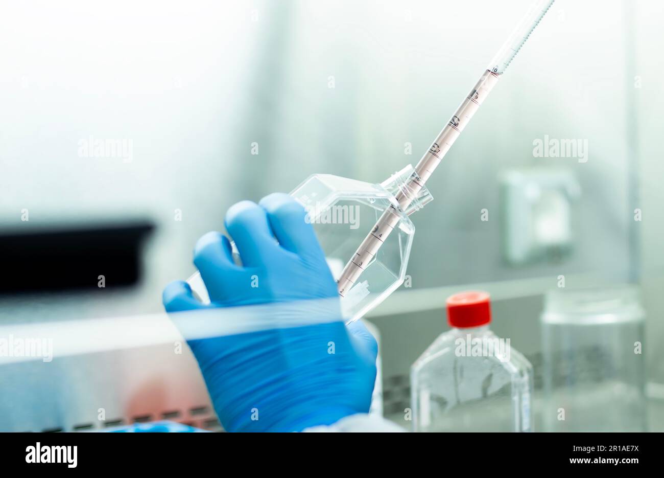 A chemist wearing protective gloves conducting a scientific experiment ...