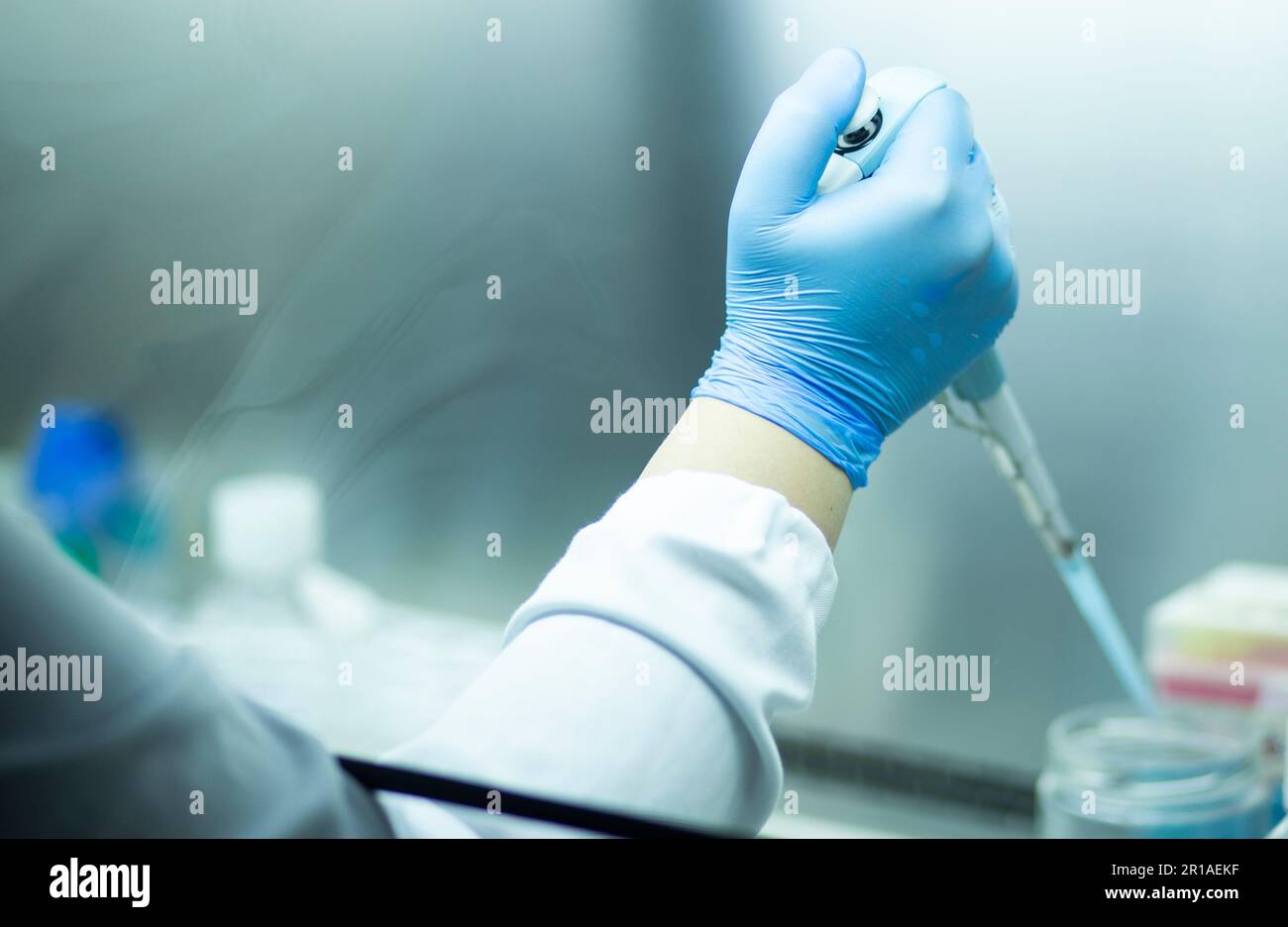 A chemist wearing protective gloves conducting a scientific experiment ...