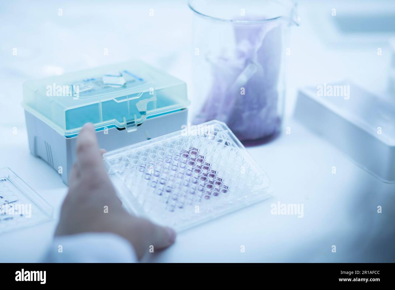 A scientist conducting medical testing in a laboratory Stock Photo - Alamy