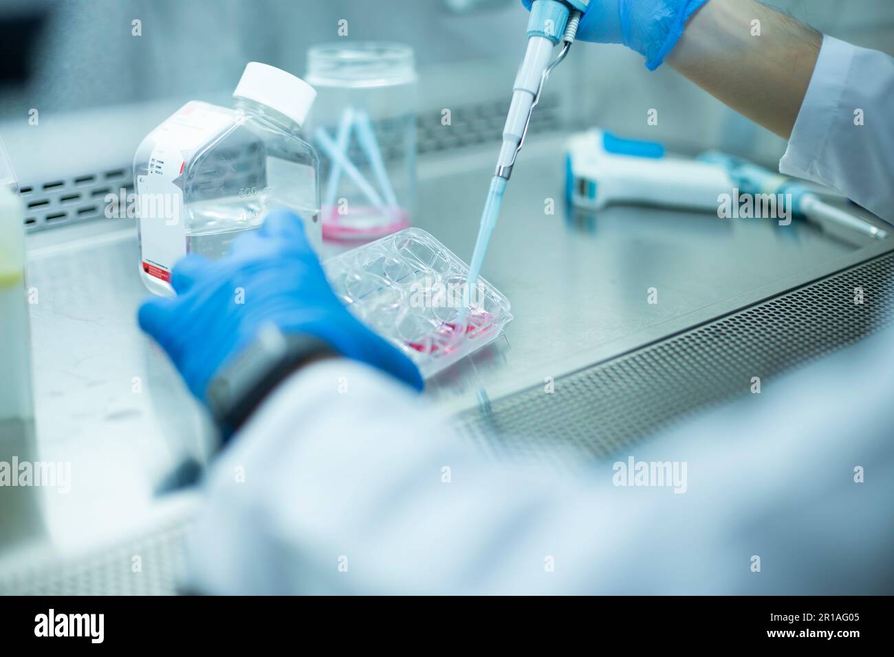 A chemist wearing protective gloves conducting a scientific experiment ...
