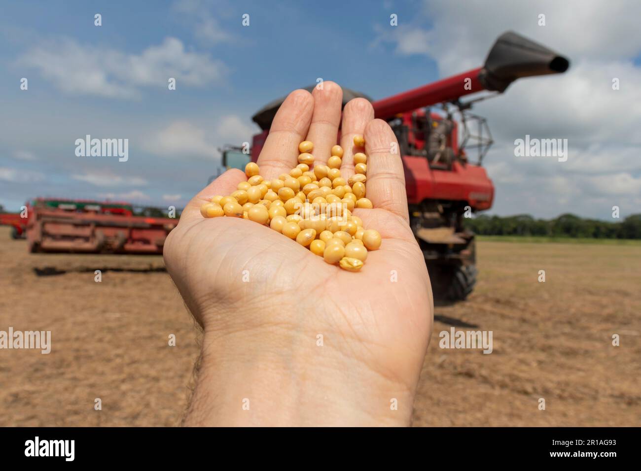 Soybean harvesting brazil hi-res stock photography and images - Alamy
