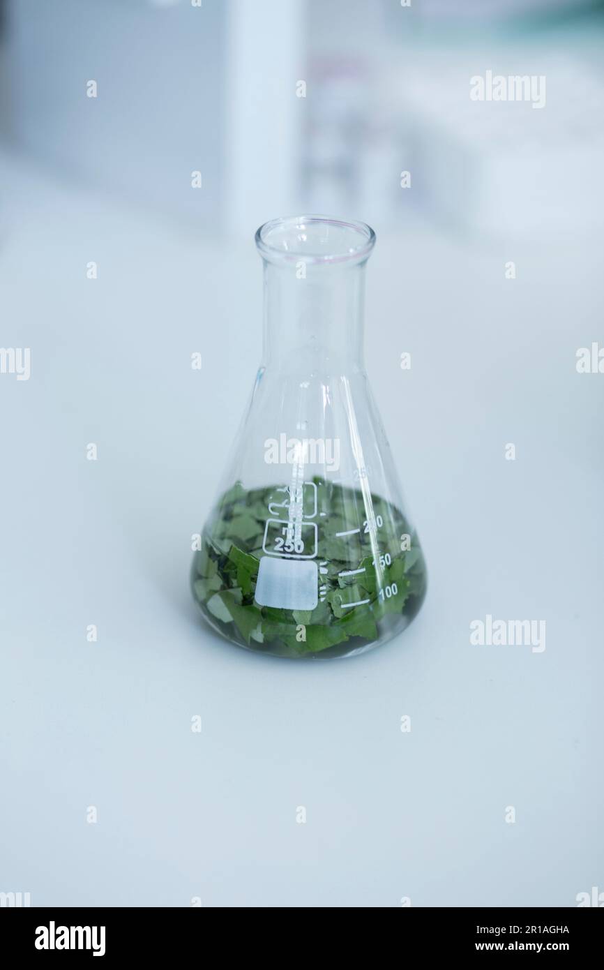 Experiment flask with leaves hi-res stock photography and images - Alamy