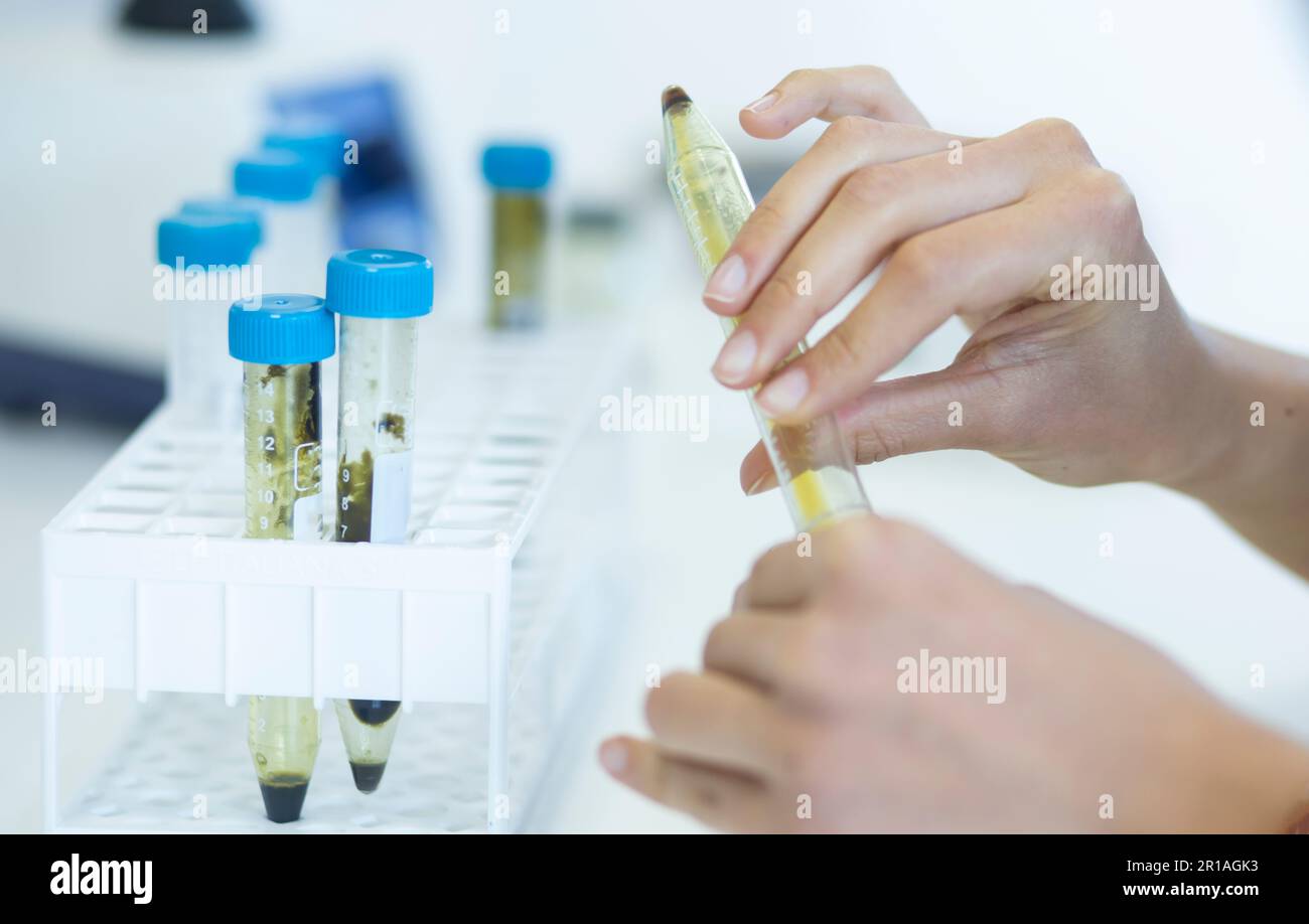 Scientist is conducting an experiment hi-res stock photography and ...