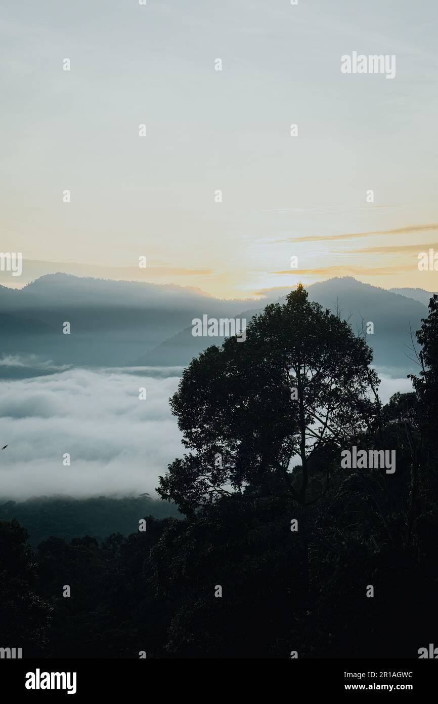 In Lenggong, Perak, sea clouds appear during a golden daybreak near ...
