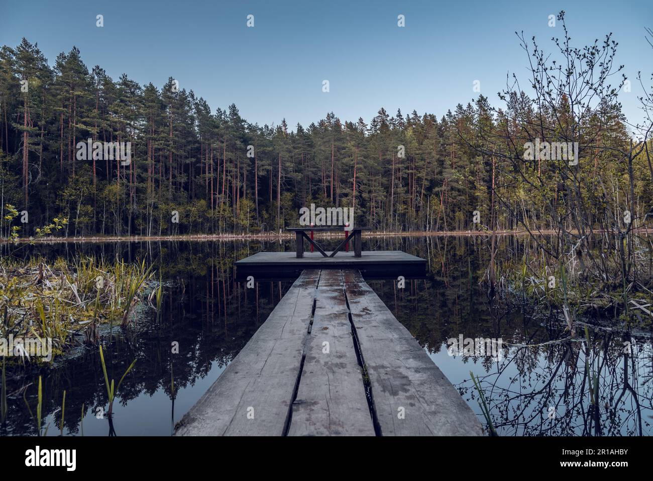 Beautiful landscape view to the lake "Lilijas ezers" in the forest with ...