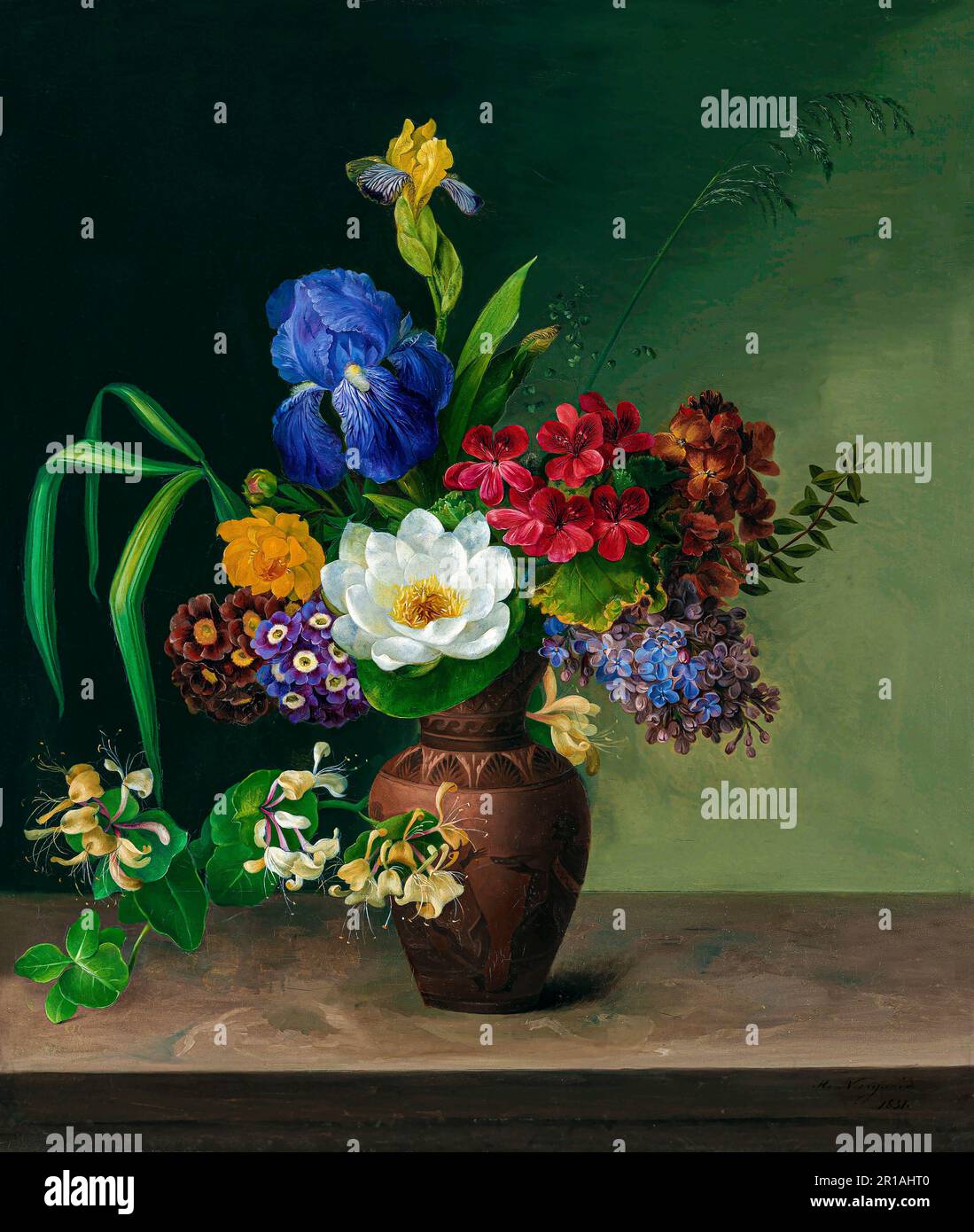 Neergaard hermania hi-res stock photography and images - Alamy