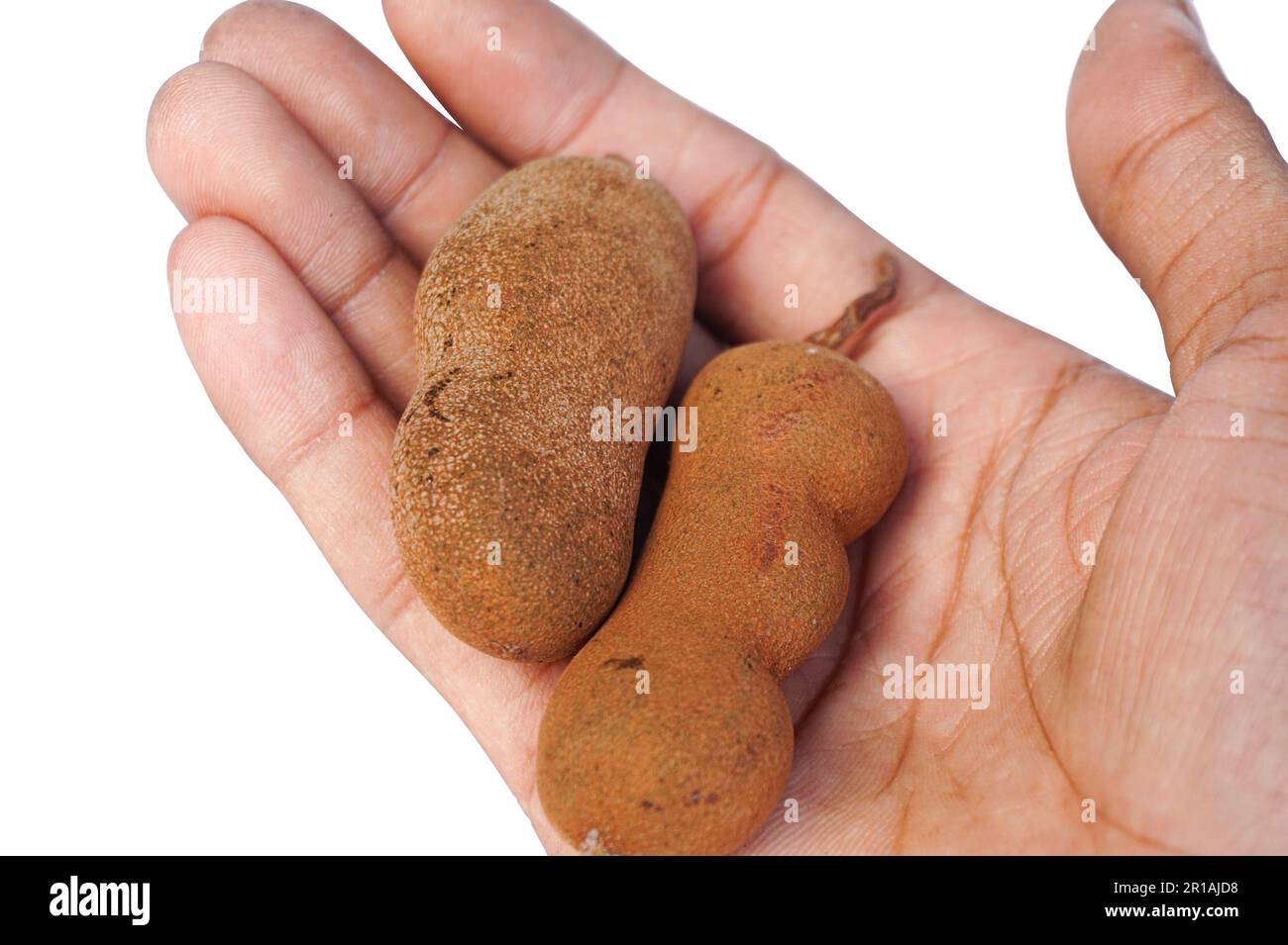 hand holding tamarind fruit on white background Stock Photo - Alamy
