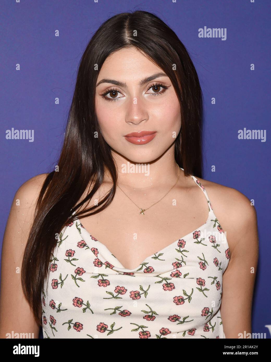 Alondra delgado hi-res stock photography and images - Alamy