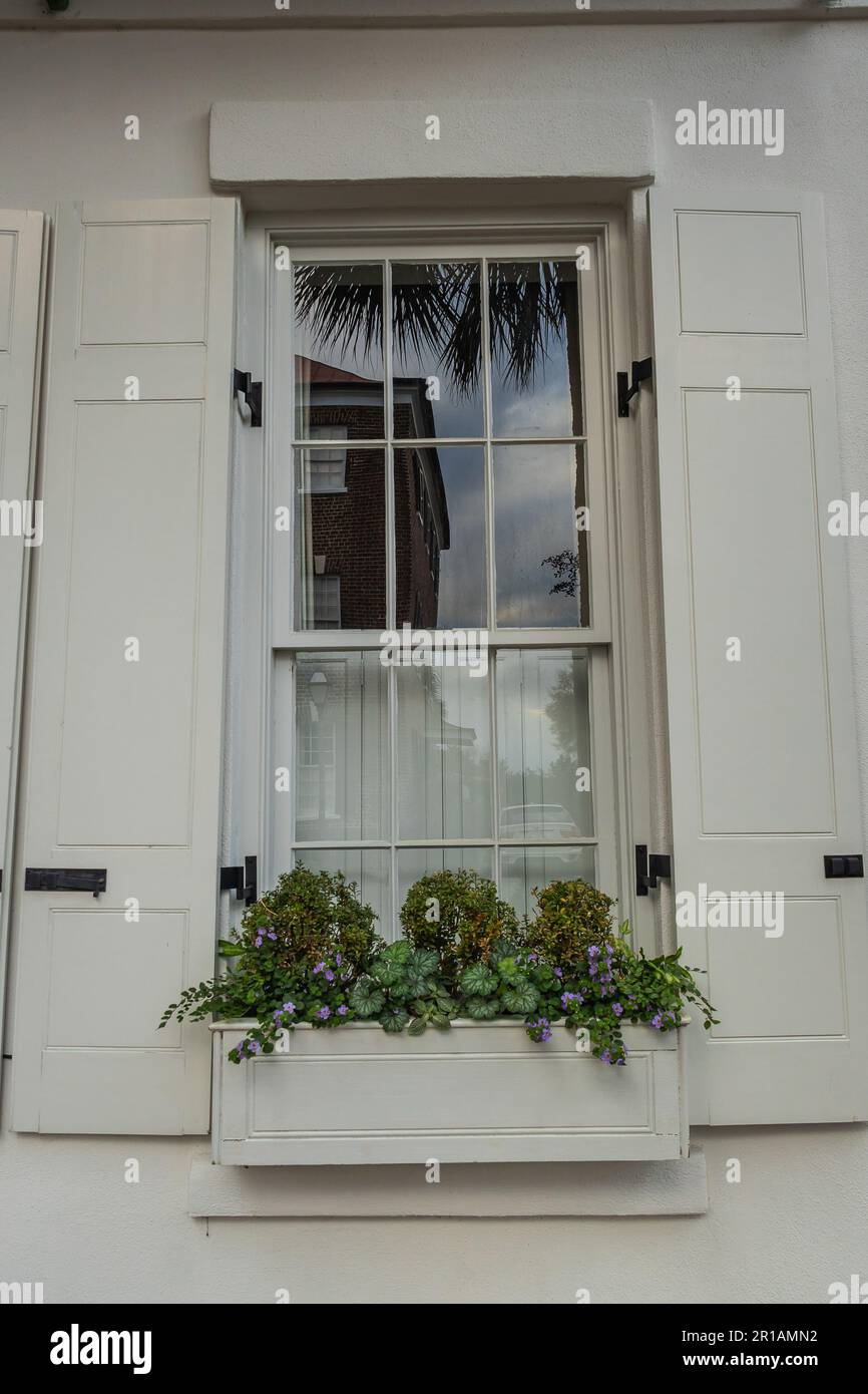 Close up of the color windows of a colonial era home in Charleston ...