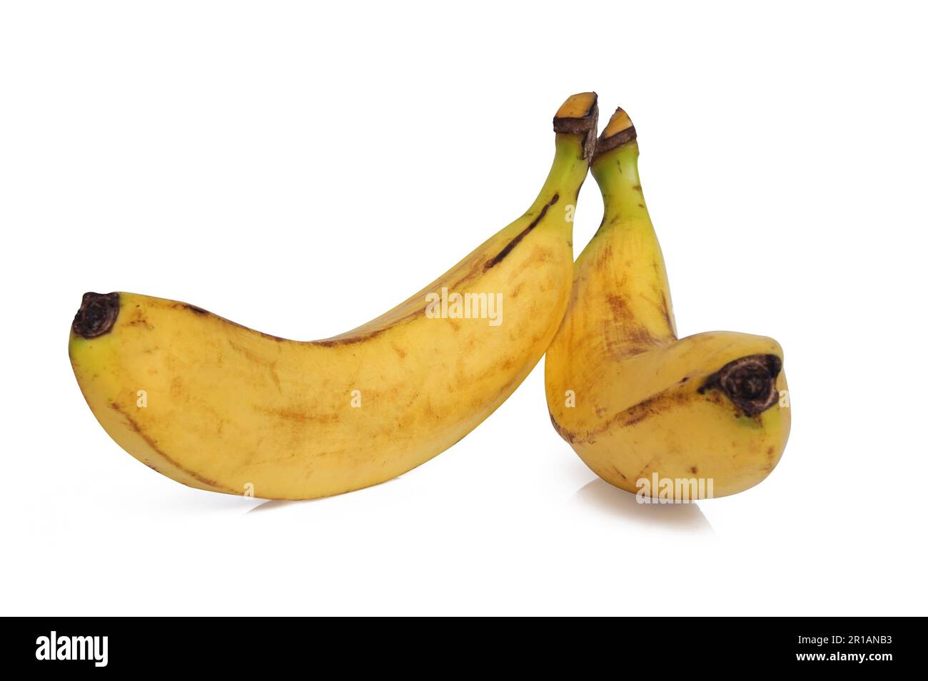 banana isolated on white background with clipping path and full depth ...