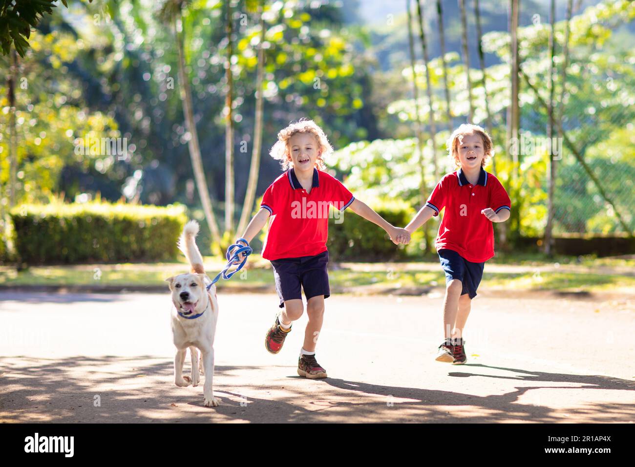 Child walking dog. Kid playing with cute puppy. Little boy running with ...