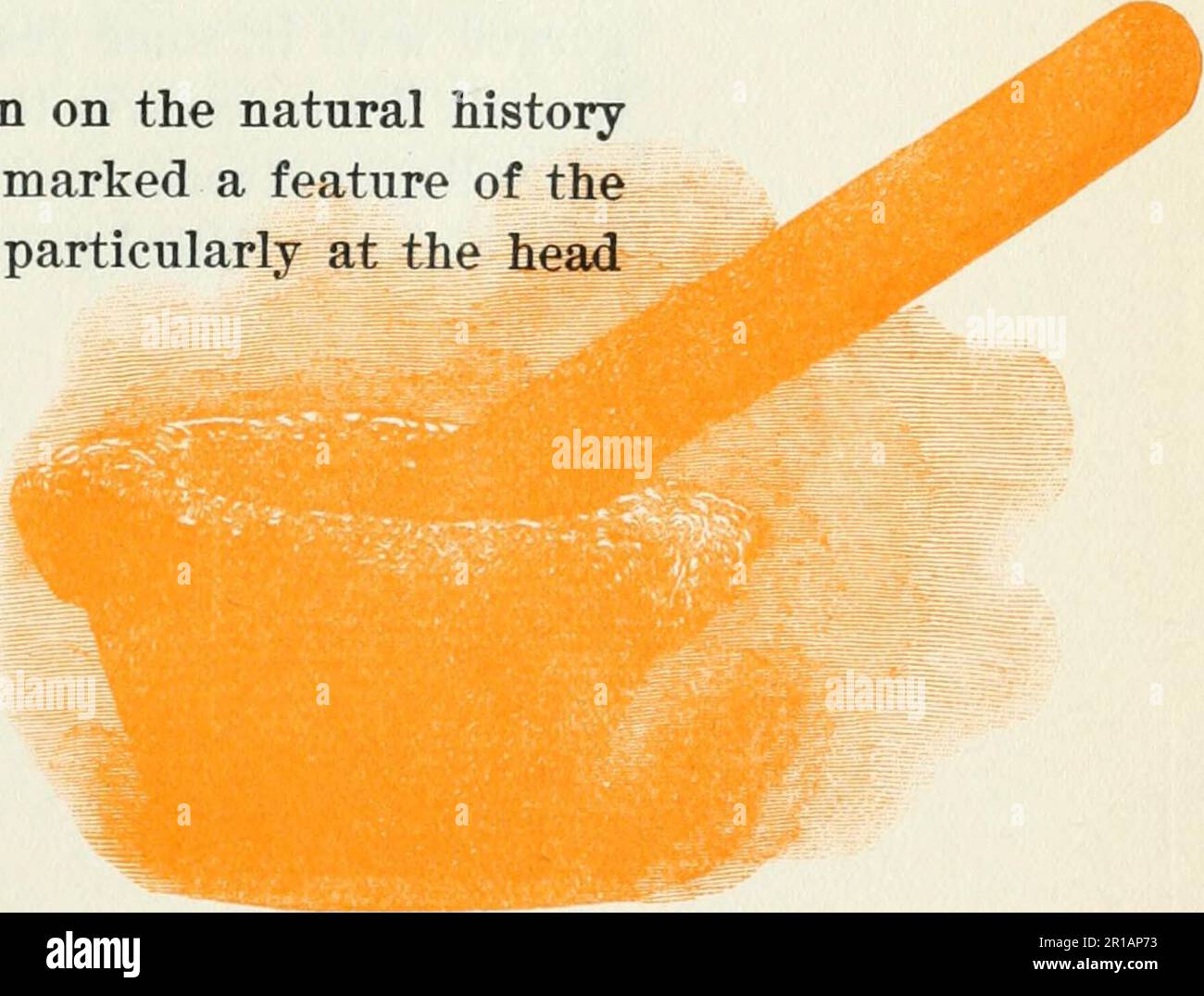 "New Jersey as a colony and as a state : one of the original thirteen ...