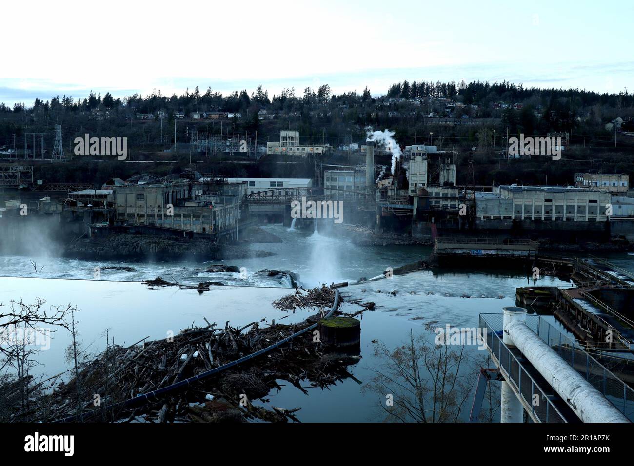 Ice Plants California Stock Photo - Alamy