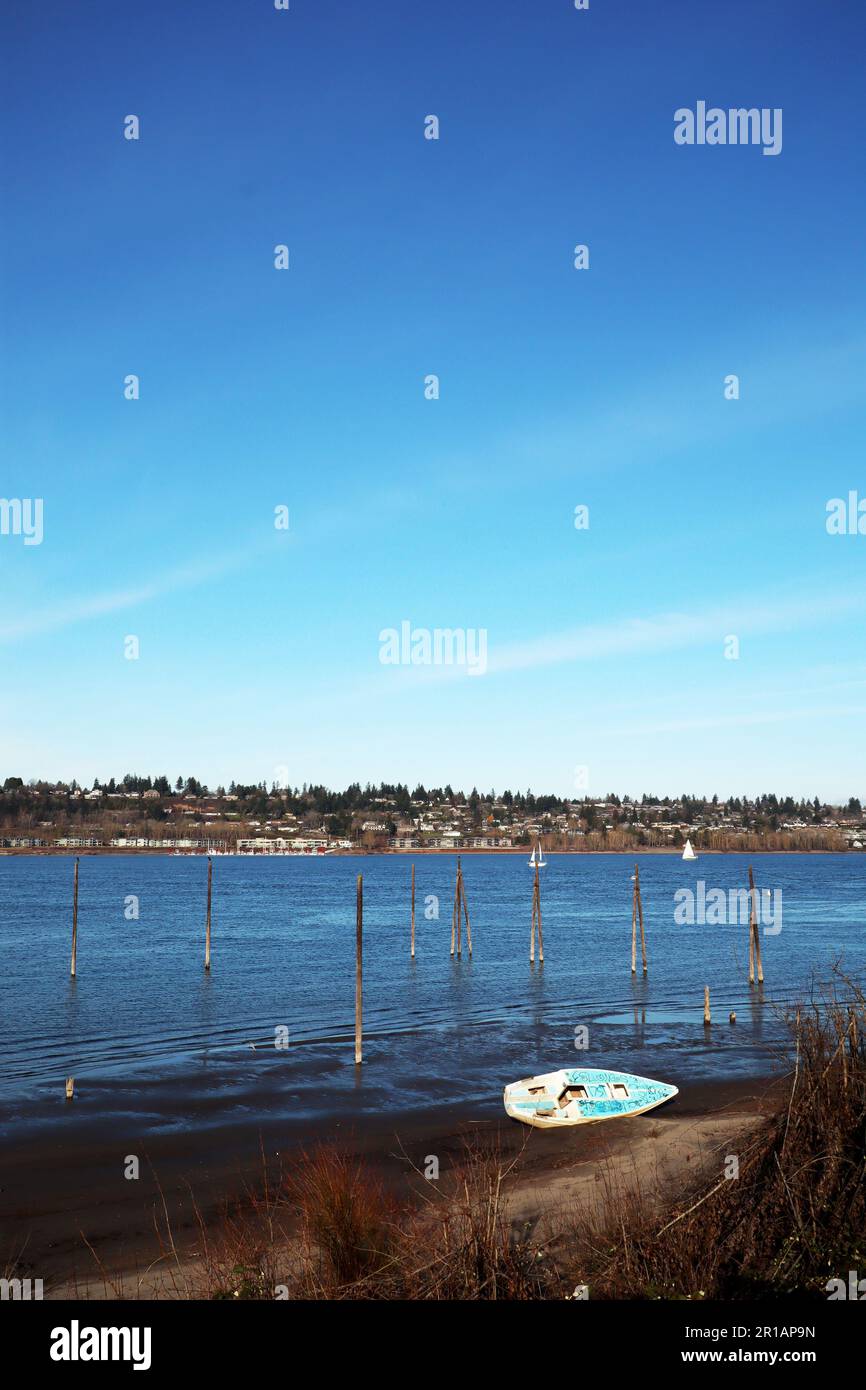 Ice Plants California Stock Photo - Alamy