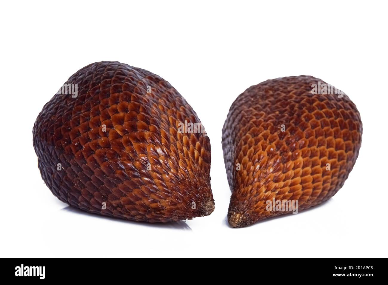 Salak snake fruit isolated on white background with clipping path and ...