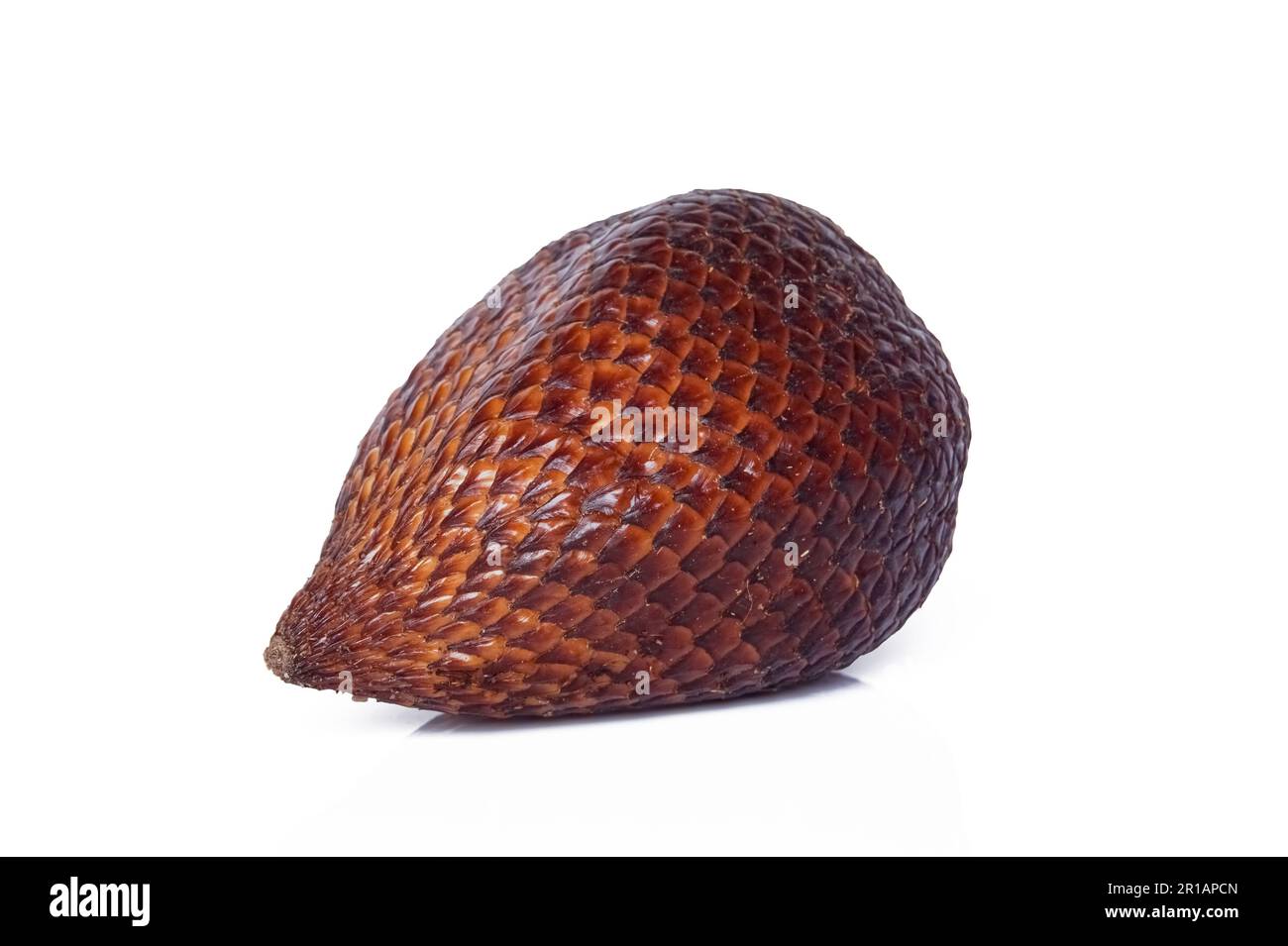 Salak snake fruit isolated on white background with clipping path and ...
