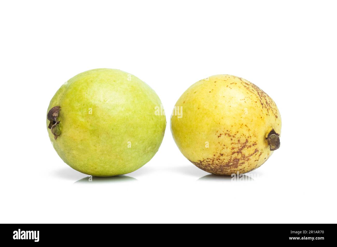 guava isolated on white background. guava whole and half sliced Stock ...