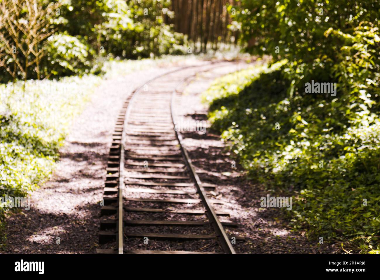 train track surrounded by green trees and bushes Stock Photo - Alamy