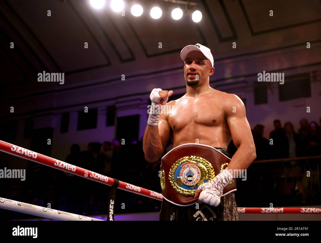 Ellis zorro hi-res stock photography and images - Alamy