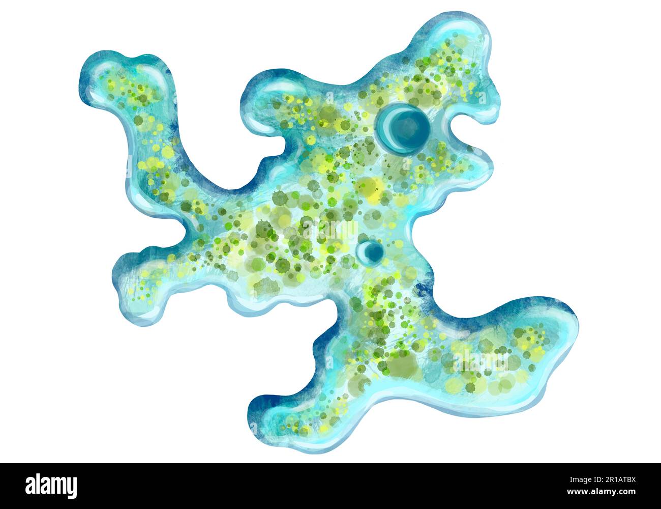 Bacteria close-up, unicellular protozoan microorganisms. Color ...