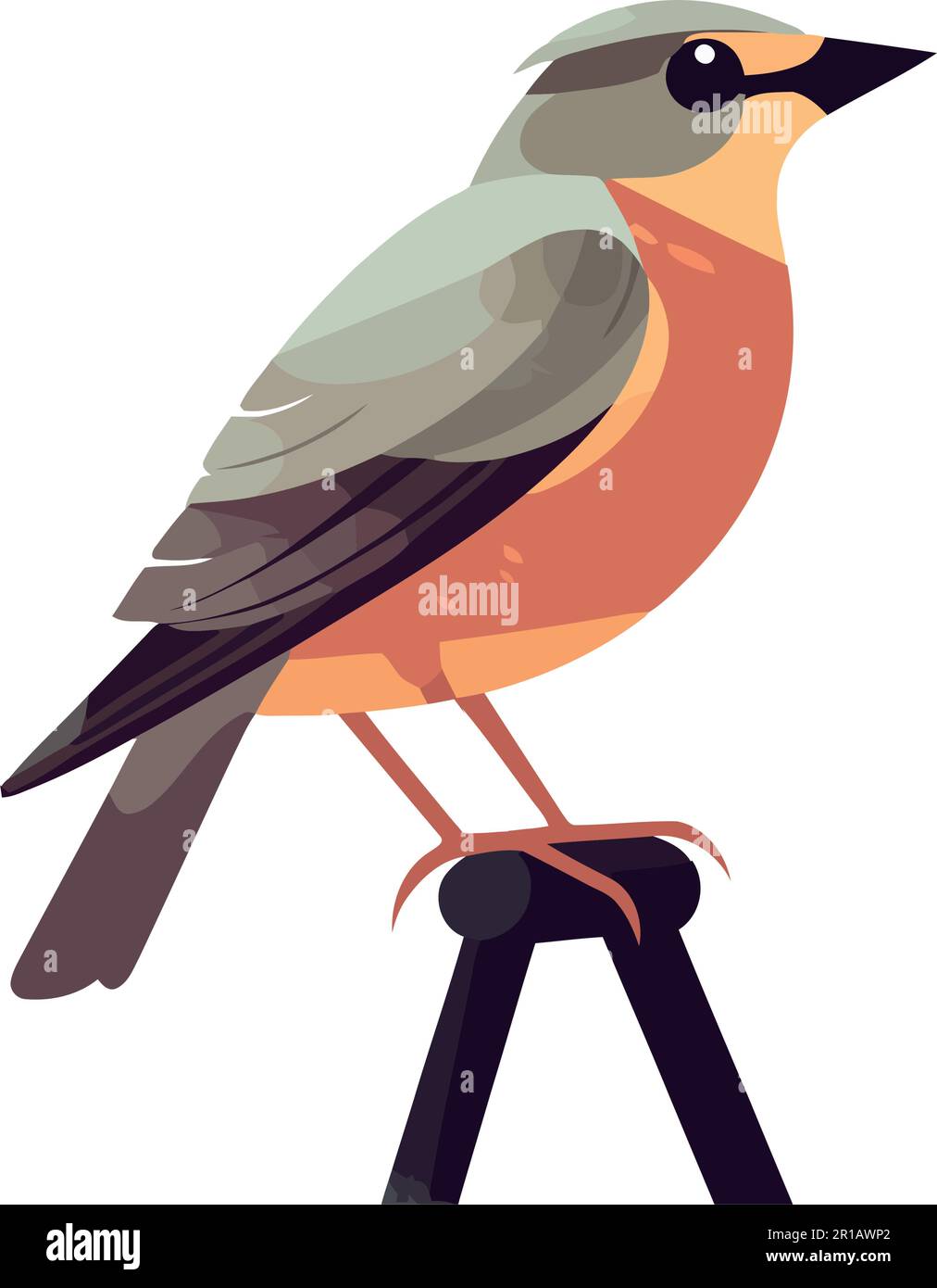 Cute finch perching on branch Stock Vector Image & Art - Alamy