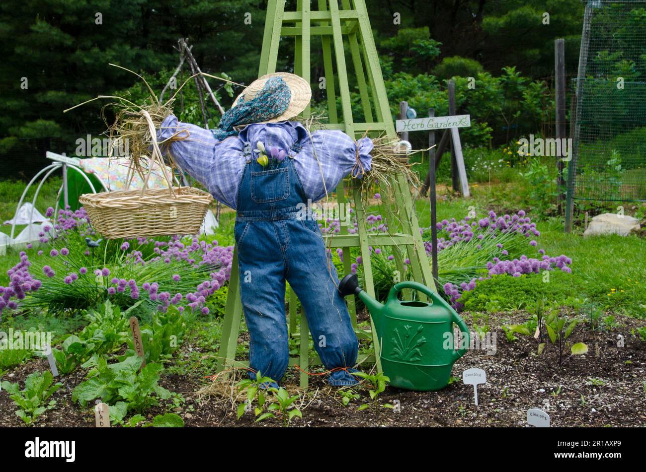 Watering character hi-res stock photography and images - Alamy