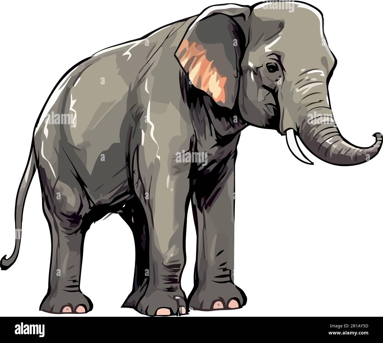 Cute elephant walking, isolated on white background Stock Vector Image ...