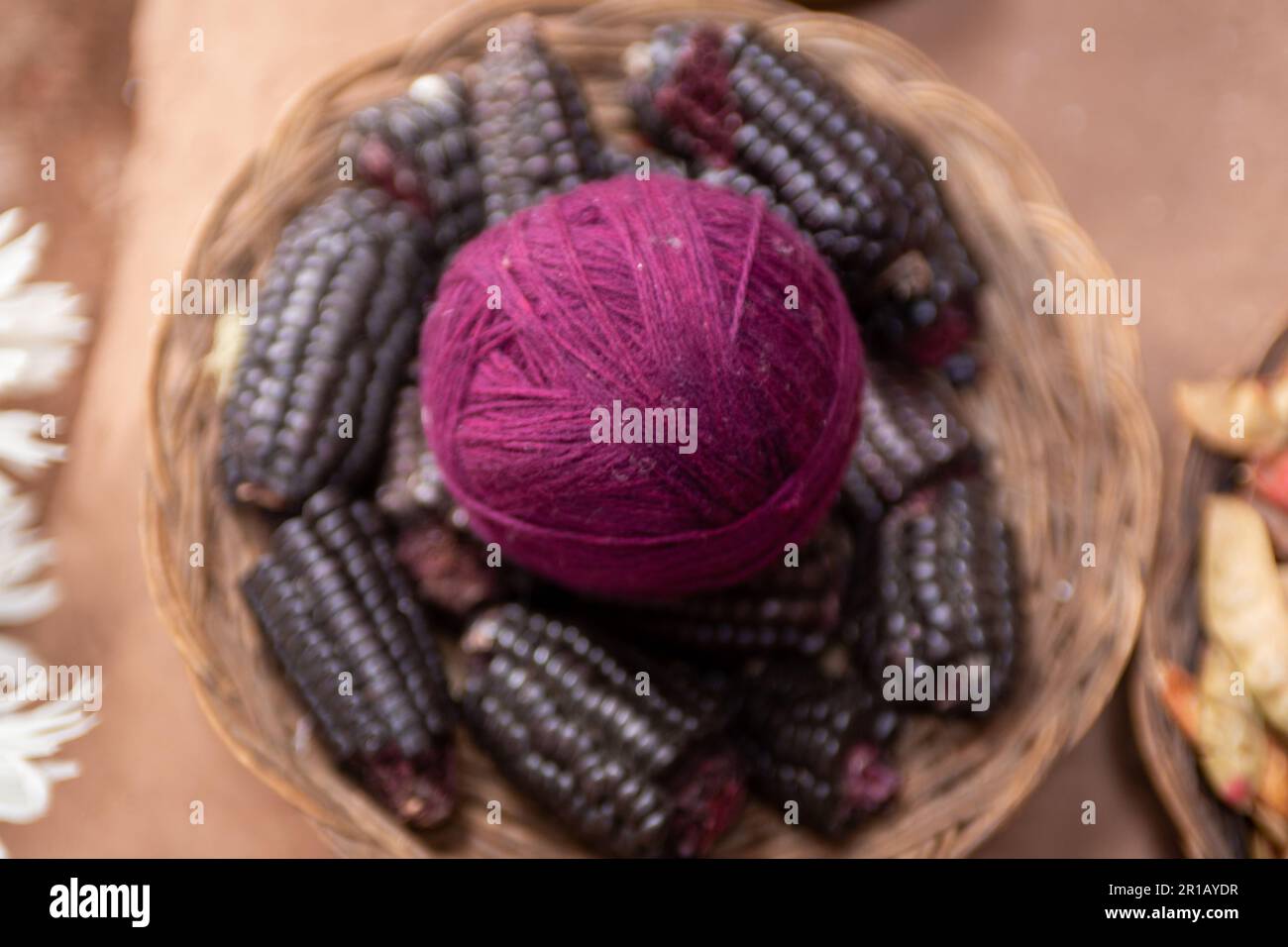 Black Peruvian Corn made into yarn ready for weaving Stock Photo - Alamy