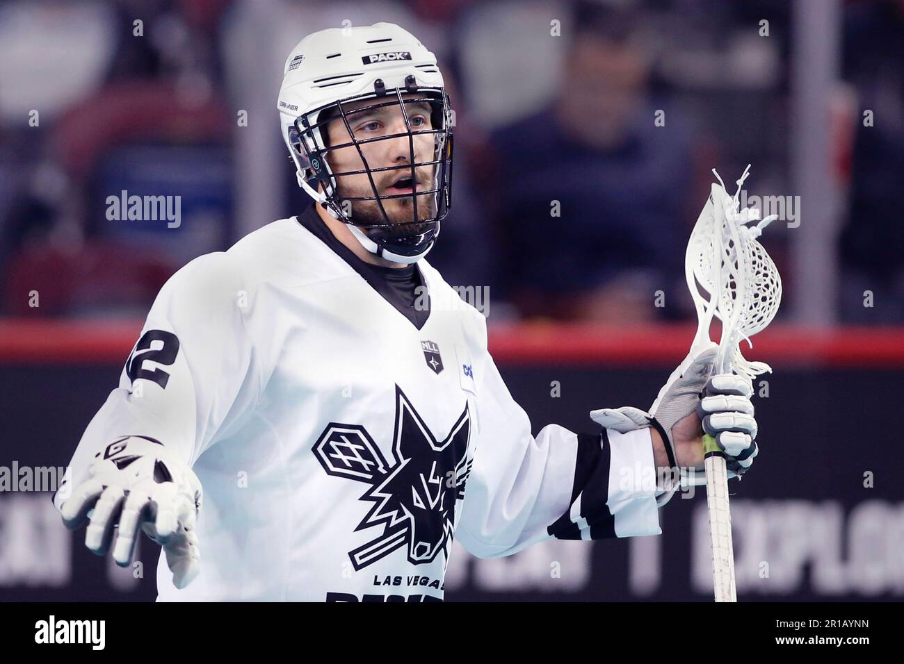 NLL (National Lacross League) profile photo on Las Vegas Desert Dogs ...