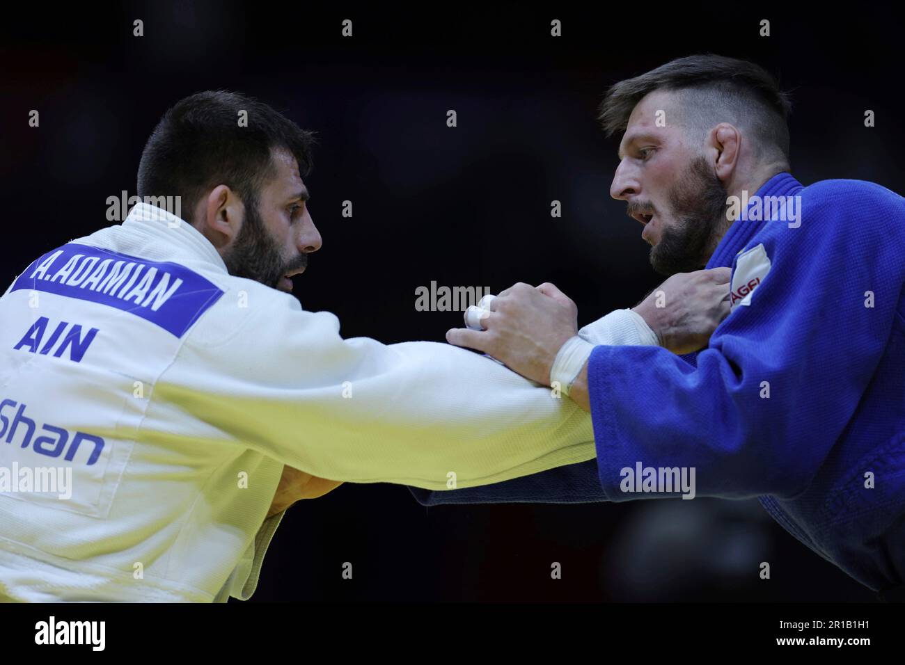 Czech's Lukas KRPALEK (blue) and Arman ADAMIAN (white) compete during ...