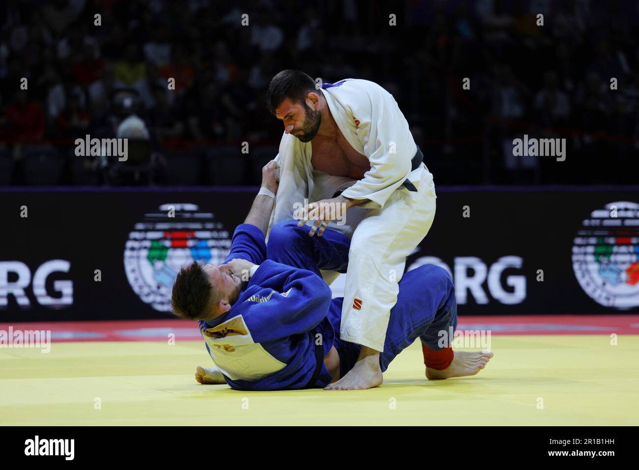 Czech's Lukas KRPALEK (blue) and Arman ADAMIAN (white) compete during ...