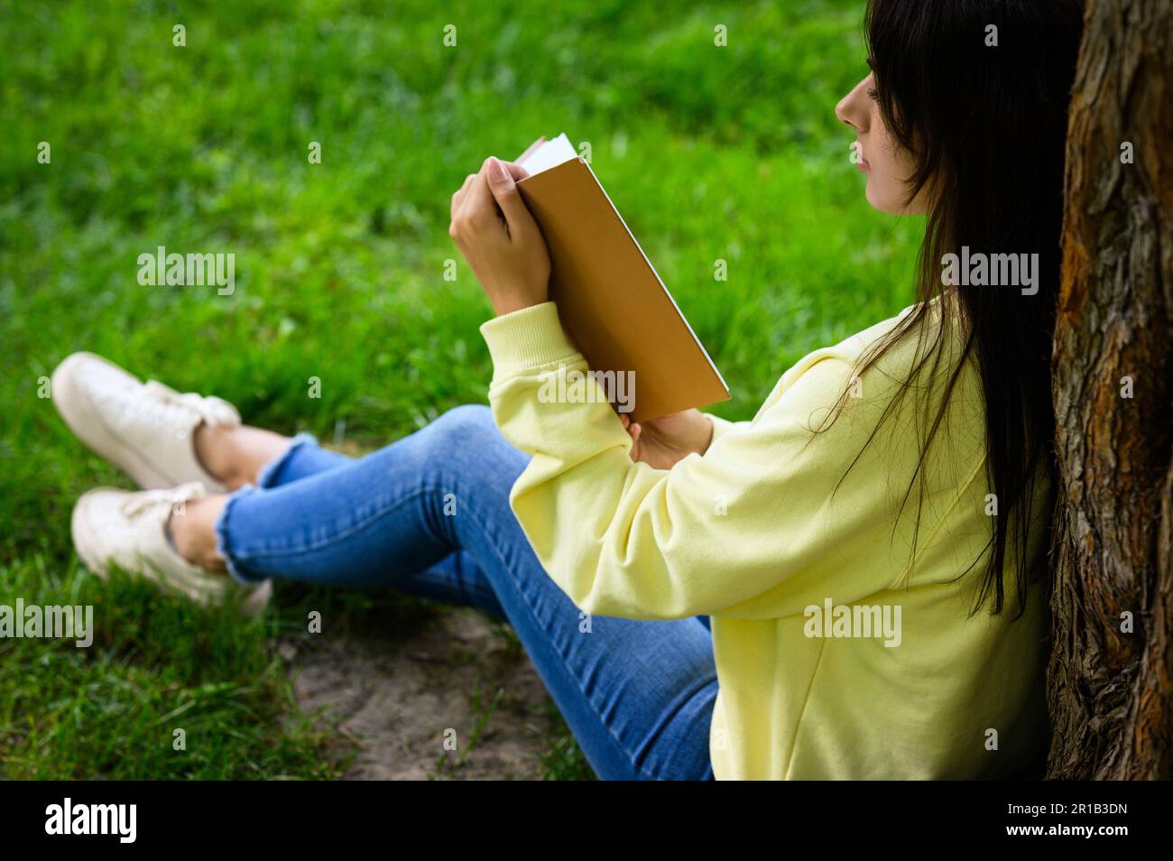 Intellect tree hi-res stock photography and images - Alamy