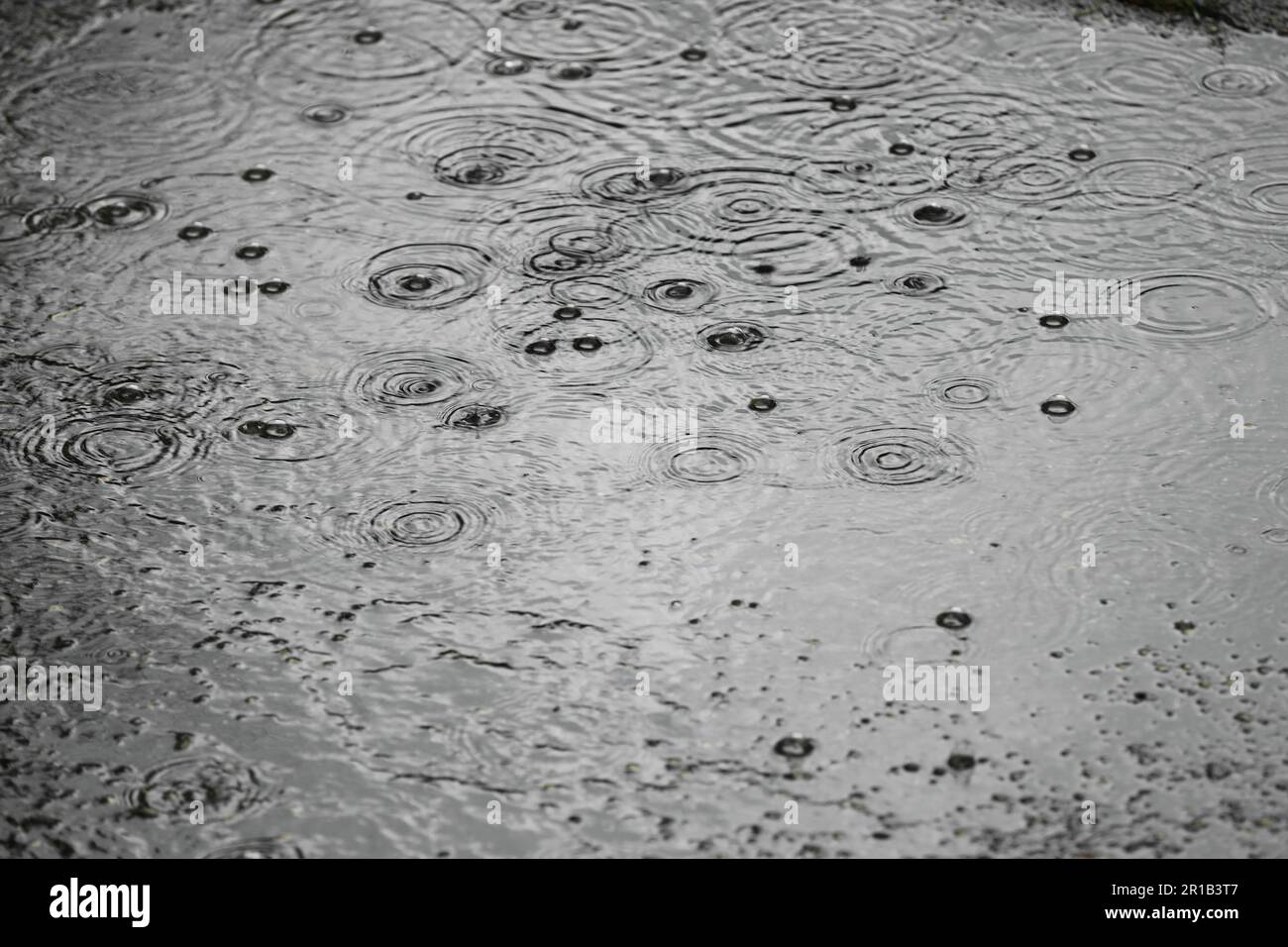 View of heavy pouring rain on city street Stock Photo - Alamy
