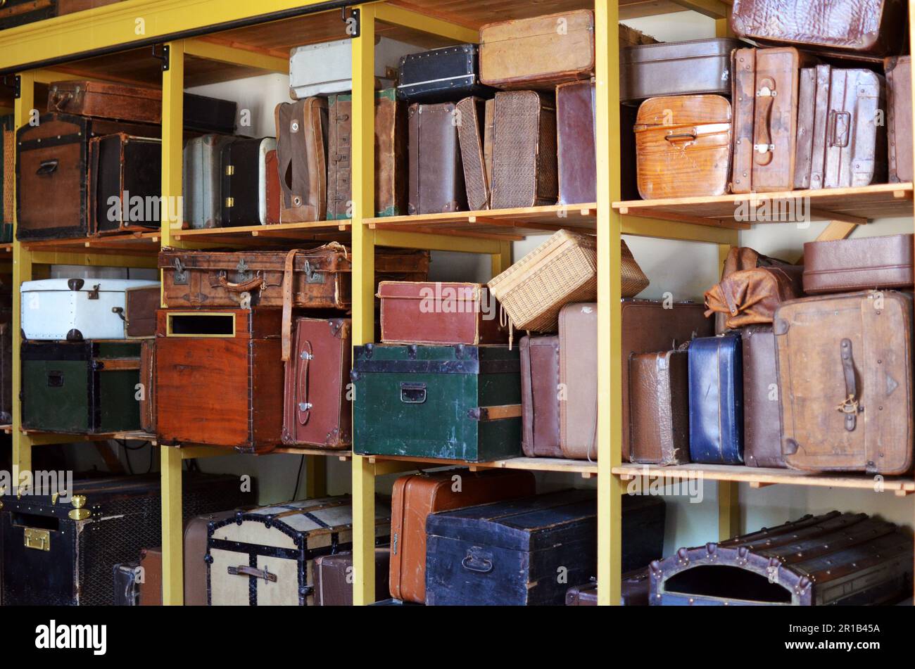 Many beautiful retro suitcases on shelves indoors Stock Photo - Alamy